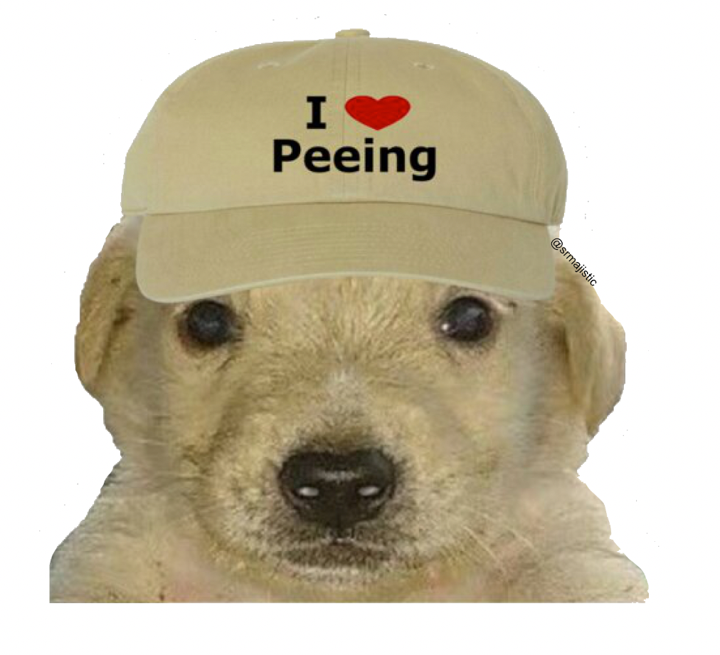 Bumper Sticker of Jotchua Peeing Dog Meme – Sam Makes Things