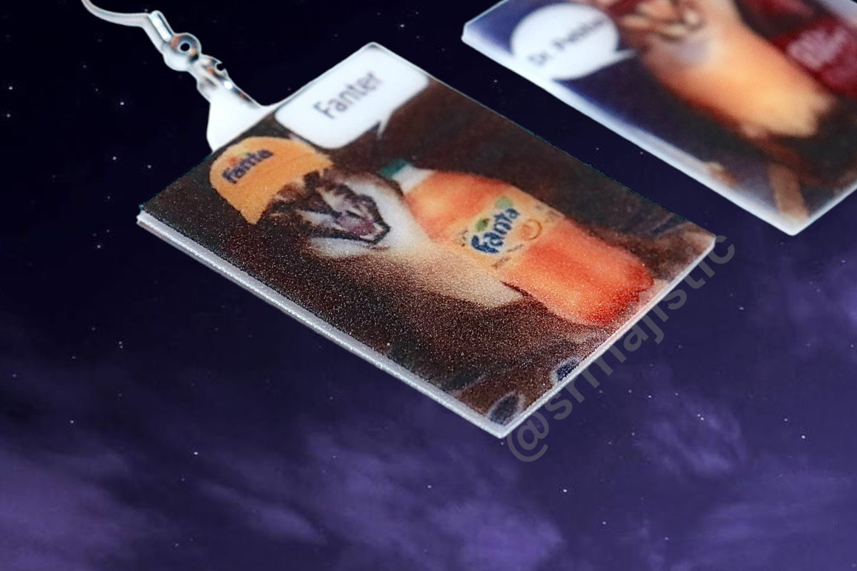 Dr. Pebba and Fanter Soda Cats Big Floppa Meme Funny Handmade Earrings ...
